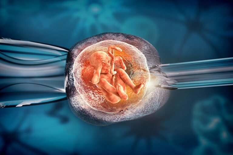From Embryo Transfer to Implantation: IVF Process Explained